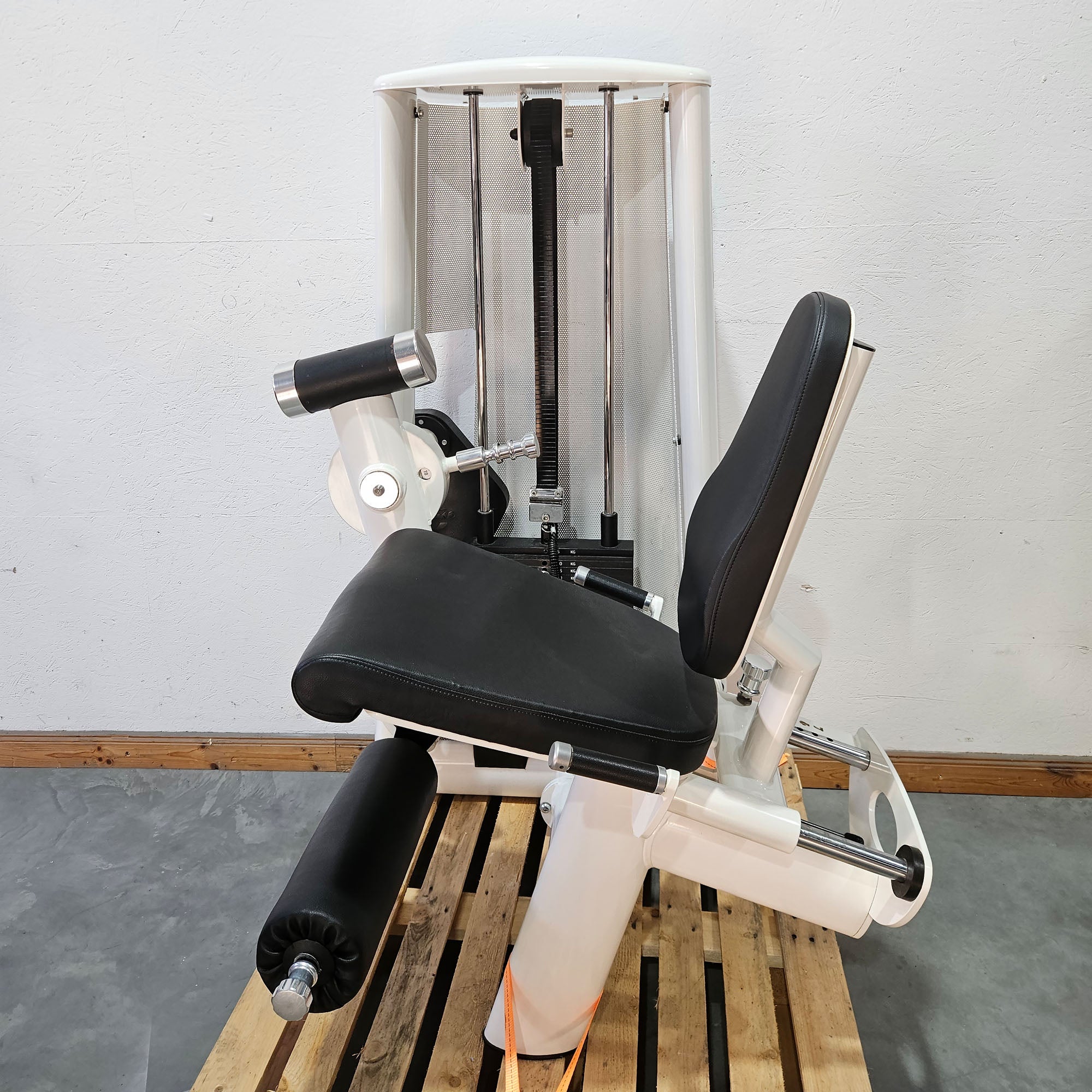 Gym80 Sygnum Beinstrecker sitzend 3001, Leg Extension Kraftgerät, Rahm ...